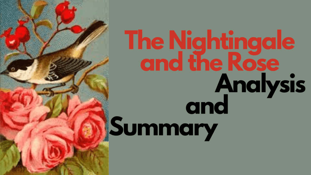 VidzHome | Learn new things about Education, History and many more...